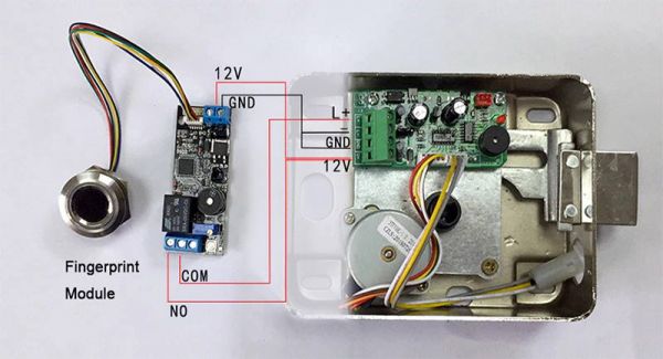 Fingerabdrucksensor mit Steuerplatine K202 R503 | Roboter-Bausatz.de